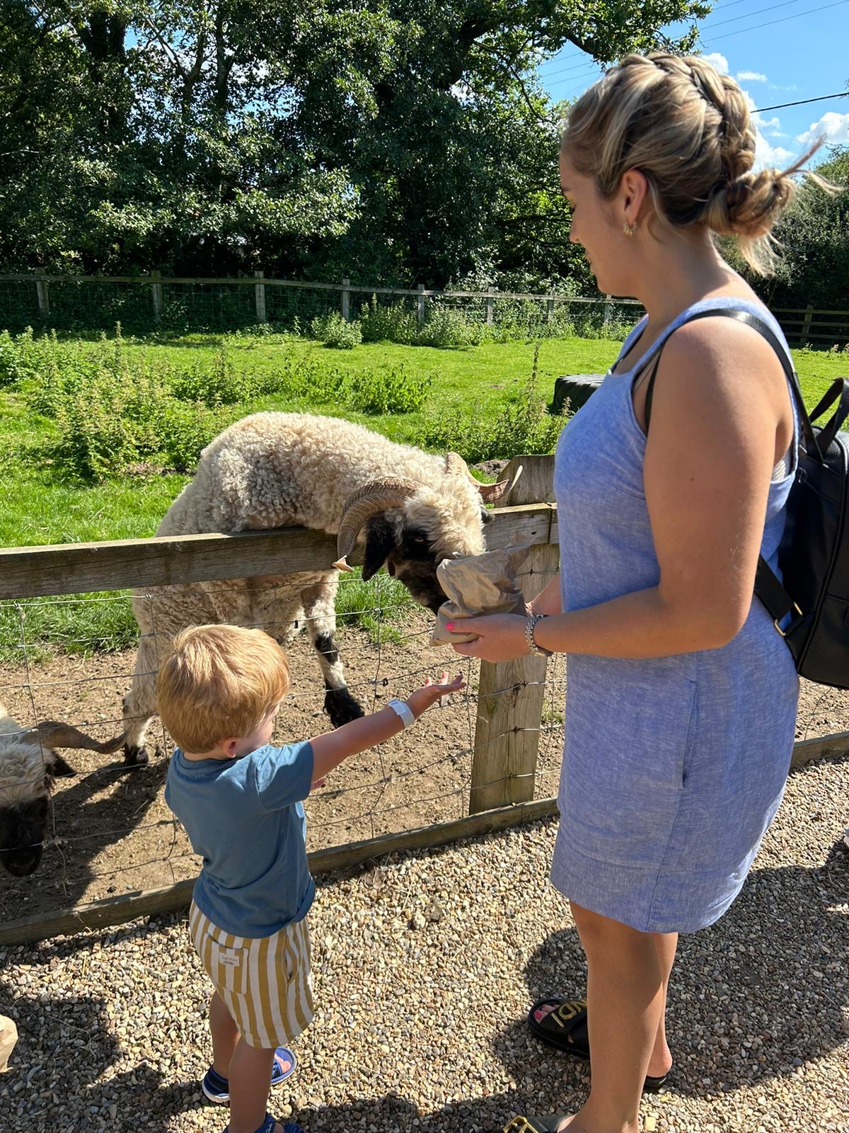 Wroxham Barns - Great For Grown-Ups, Lovely For Children!