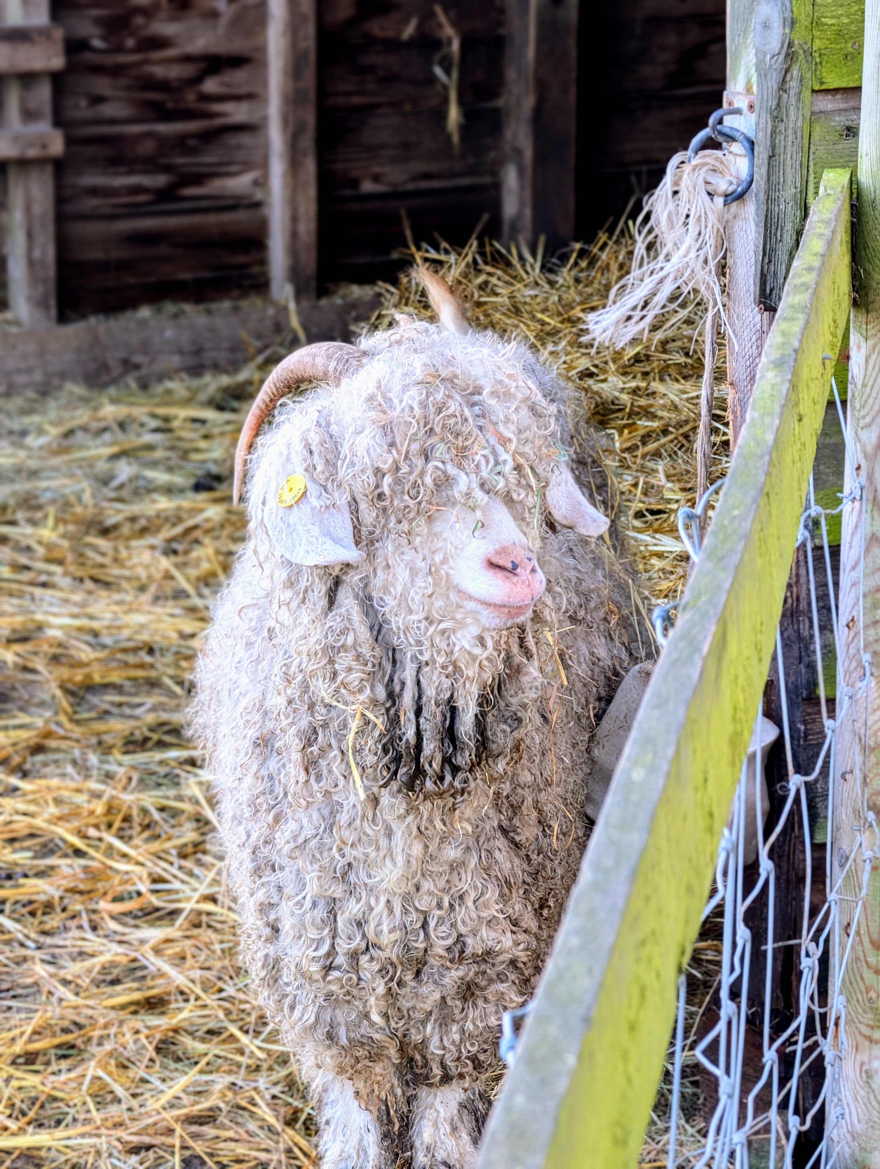 Father's Day Weekend