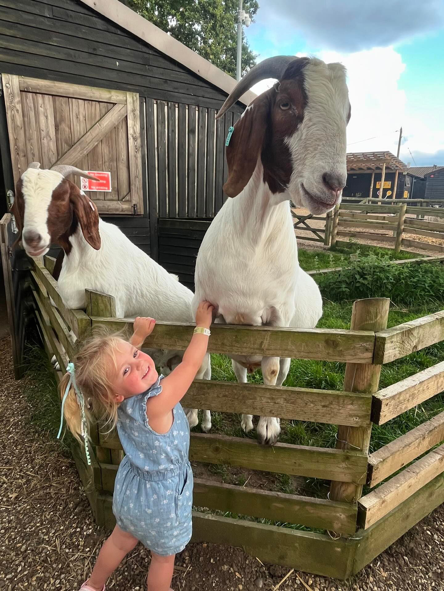 Wroxham Barns - Great For Grown-Ups, Lovely For Children!
