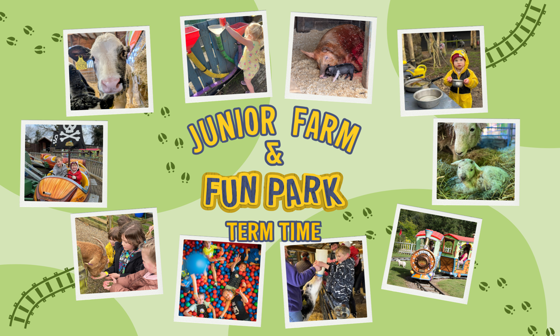 Wroxham Barns Term Time Fun | Junior Farm & Fun Park