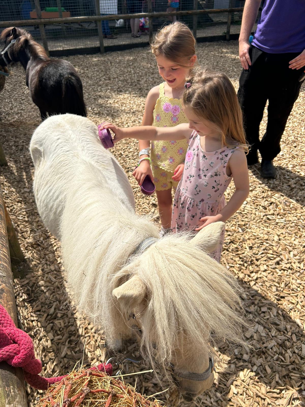 Wroxham Barns - Great For Grown-Ups, Lovely For Children!