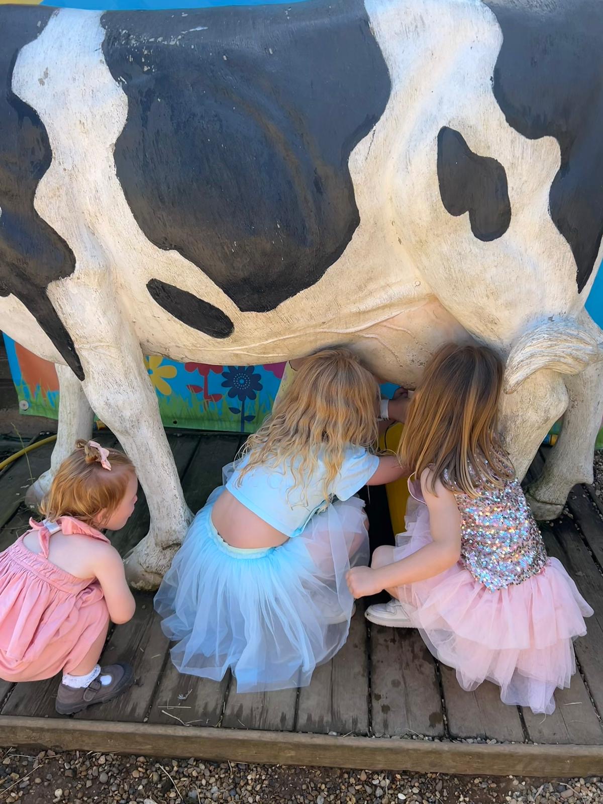 Wroxham Barns - Great For Grown-Ups, Lovely For Children!